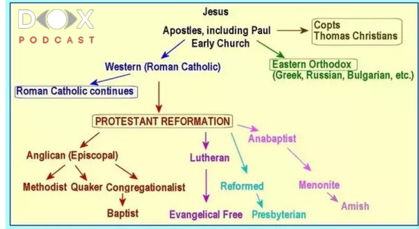 انشعابات و شاخه های مسیحیت (چرا مسیحیت این همه مذهب و گروه مختلف دارد ...